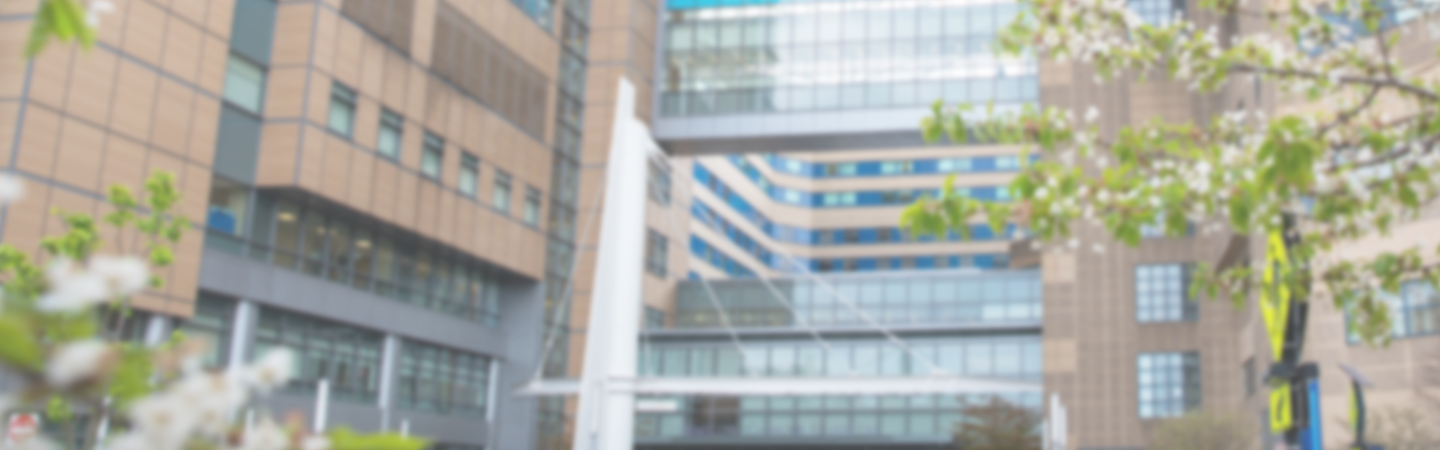 Yale New Haven Hospital - A Connecticut Hospital