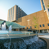 Yale New Haven Children’s Hospital - Bridgeport Campus