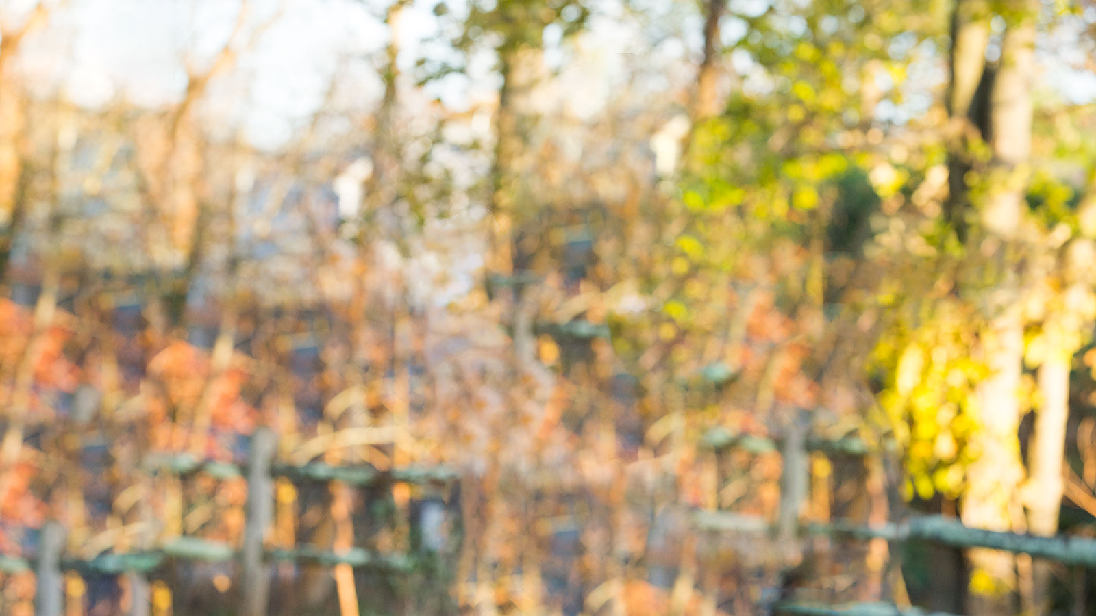 Yale New Haven Hospital - A Connecticut Hospital